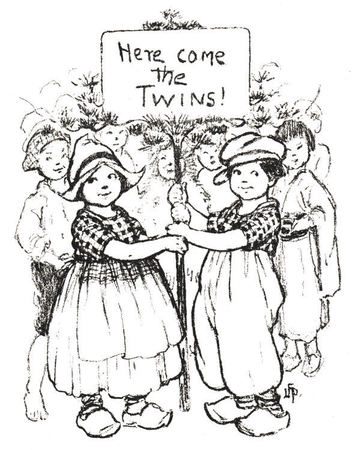 Introducing Chapter Books: The Twins Series - A Culture of Reading